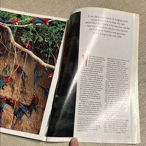 National Geographic | Accents | National Geographic Magazine January ...